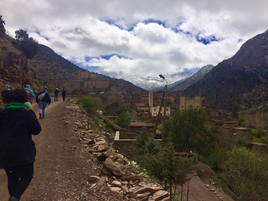 Teaching – Katja Žvan Elliott, DPhil (Oxon)